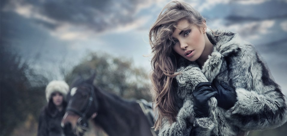 Stéphanie Fournier Notaire The Beauty in Life - Stéphanie Fournier Notaire